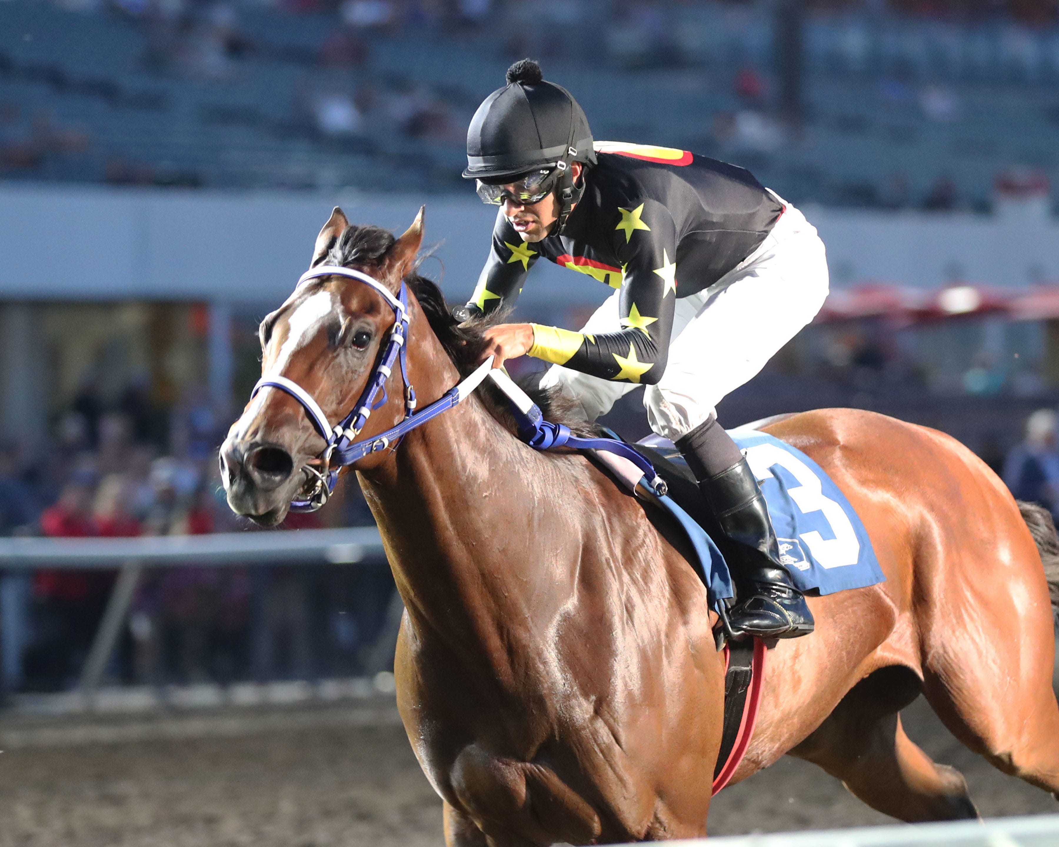 Distorted Pro takes on trio of 10,000 Lakes past winners